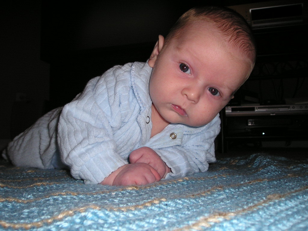 Byrne Robotics: JBF Member Photos